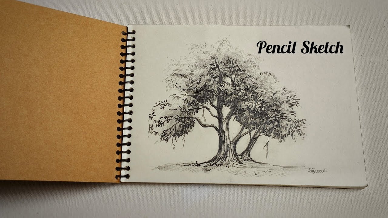 Tree Pencil Sketch | Tree Pencil Sketch For Beginners #pencilsketch ...