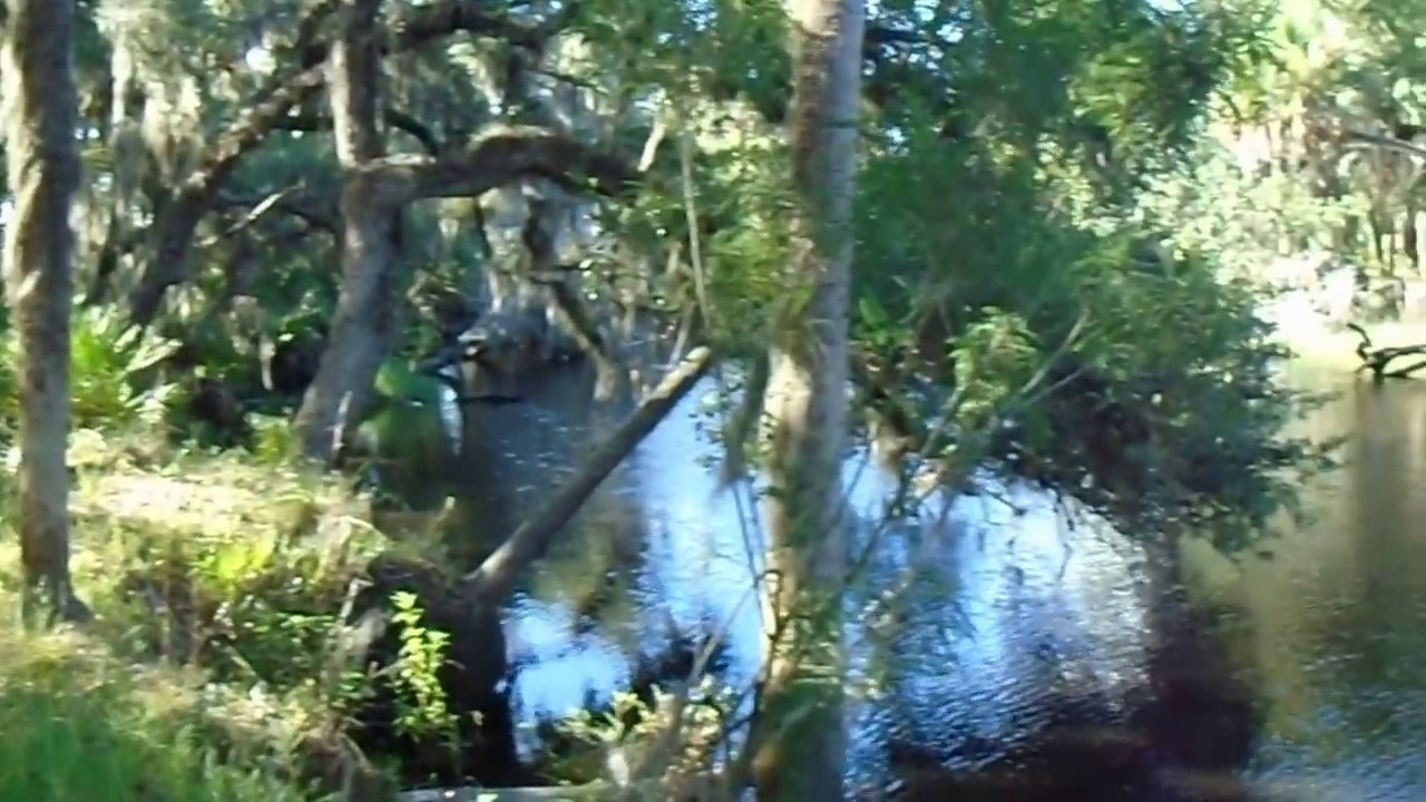 Econlockhatchee River at Kilbee Tract Little Big Econ State Forest ...