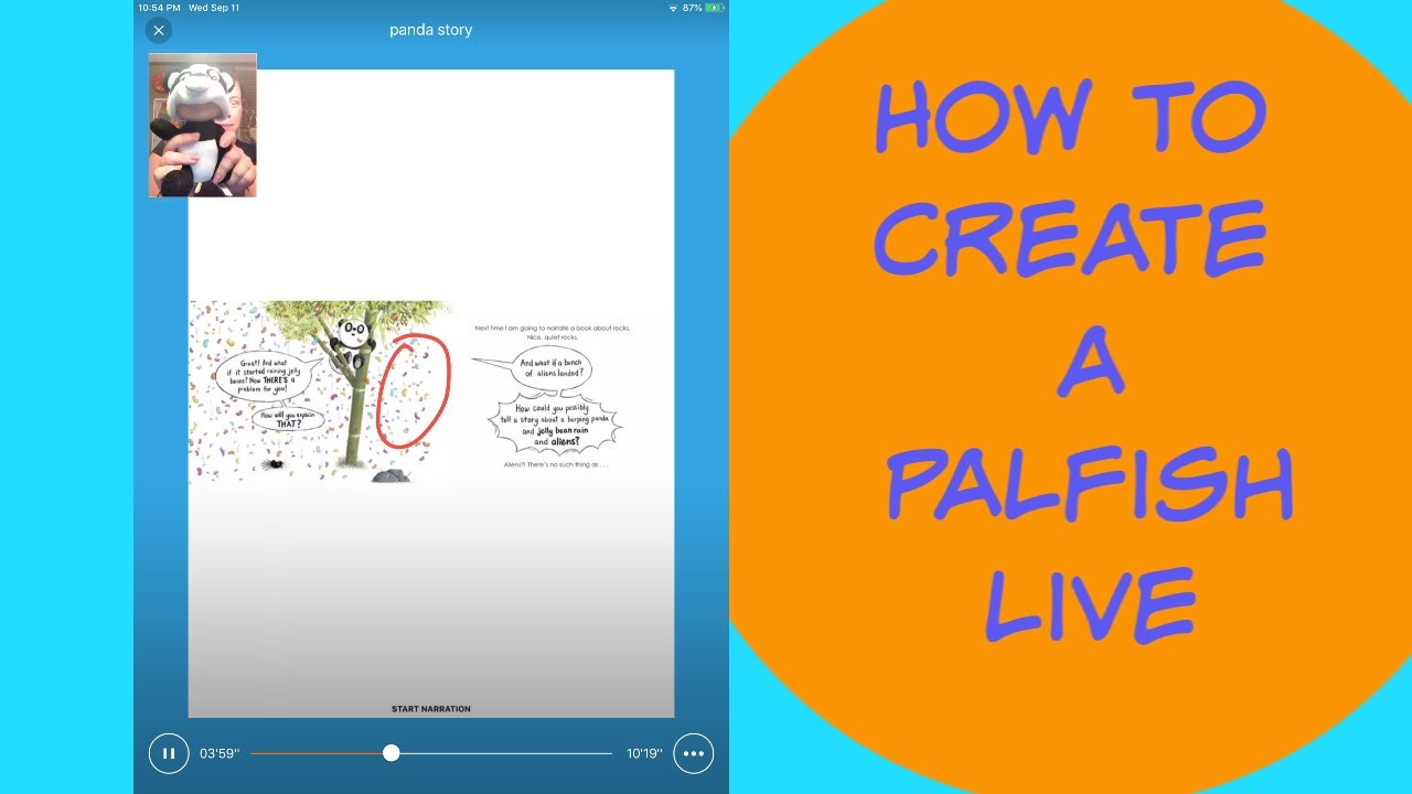 How To Create A Palfish Live - YouTube