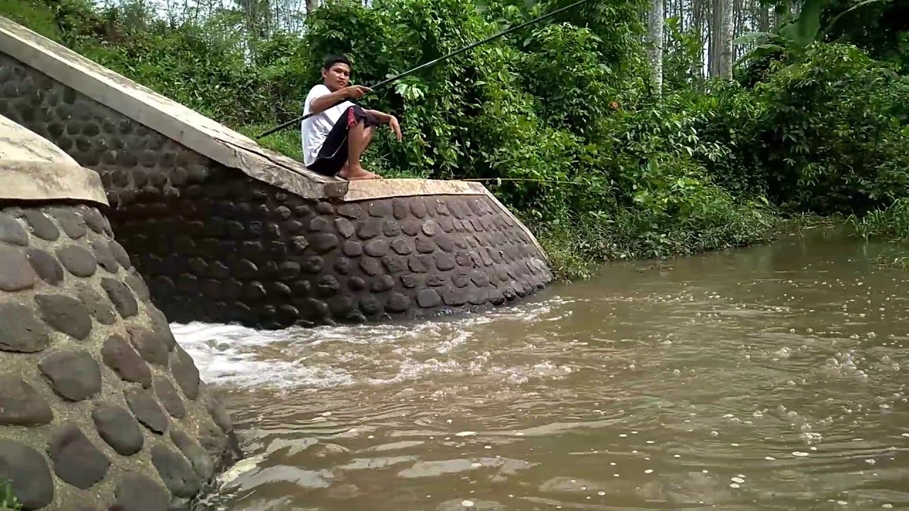 memancing ikan di sungai untuk di goreng - Alhamdulillah mantap # ...