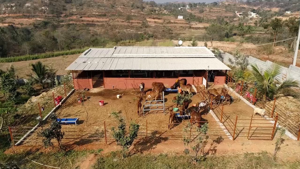 Taranga Farms - YouTube