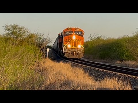 BNSF 7959 leading Grain freight in Olmito, TX - YouTube