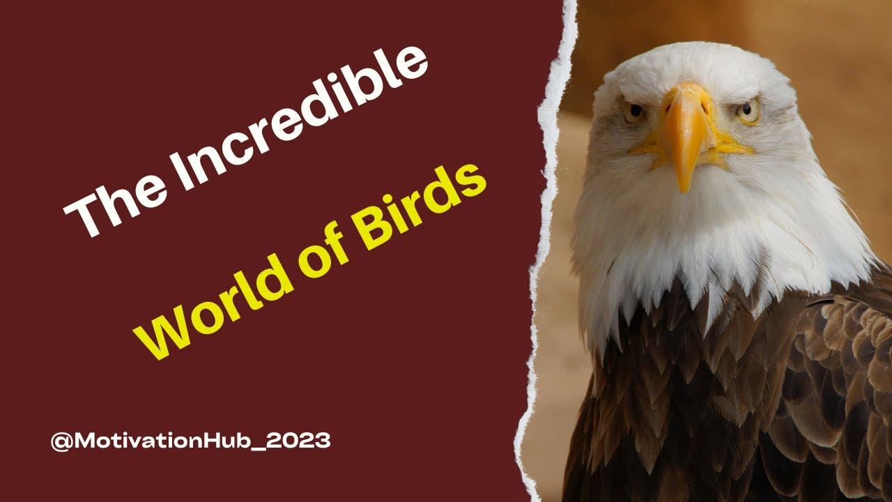 The Incredible World of birds: A Close-up Look at the Birds on Earth # ...