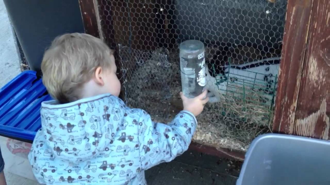 Nathan and the bunny rabbit - YouTube