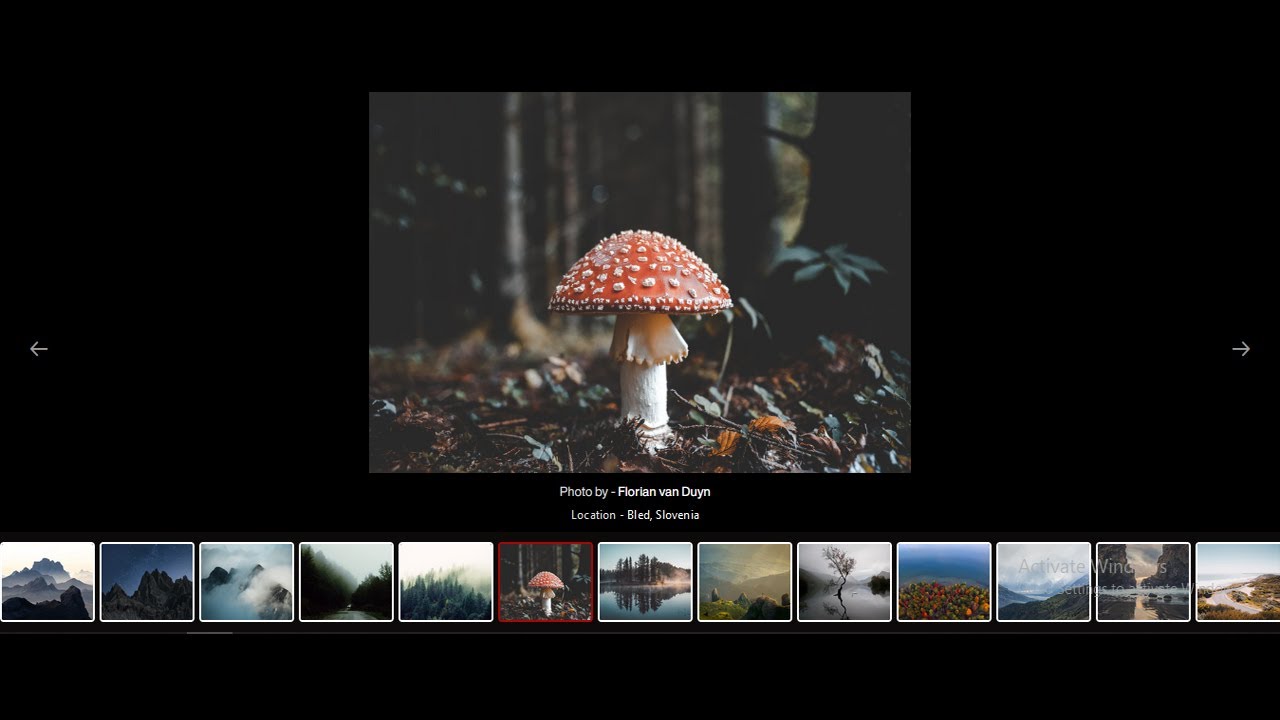 Lightbox Gallery How To Create A Modal Image Gallery Lightbox With Html Css And Javascript 🔥 5650