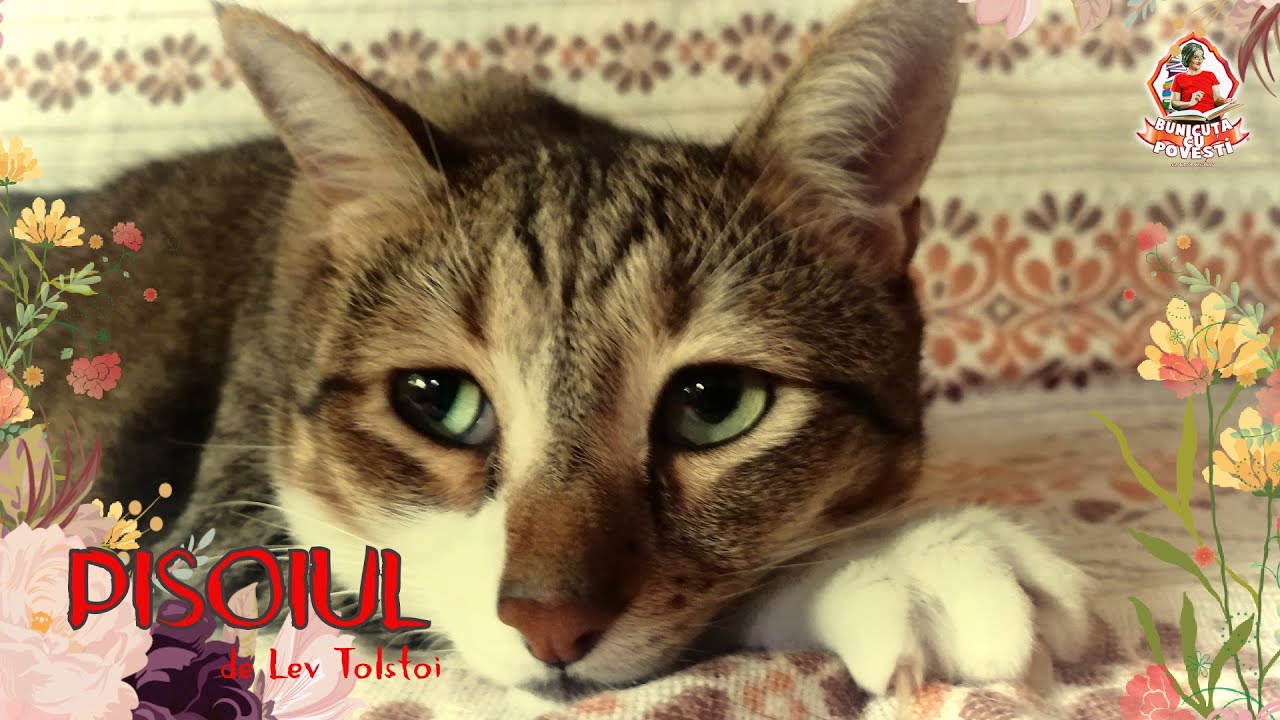 Bunicuța Cu Povești -,, Pisoiul'', de Lev Tolstoi - YouTube