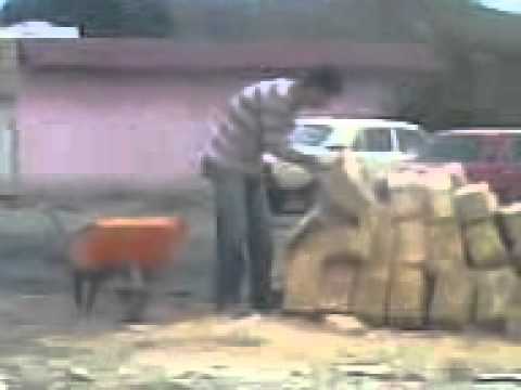 siyezenli zehmetkes genc ozne yuva tikir
