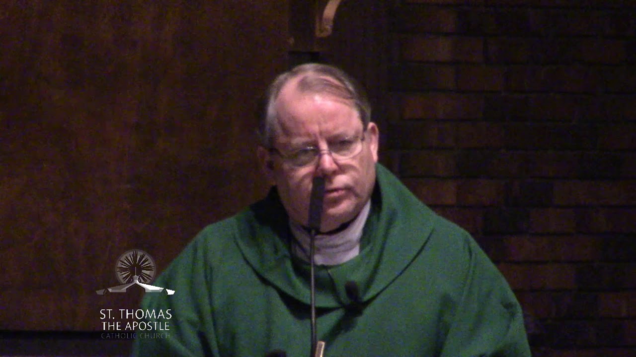 Fr. Fitzpatrick's Homily - 4:30 pm Mass - 1.25.20 - YouTube