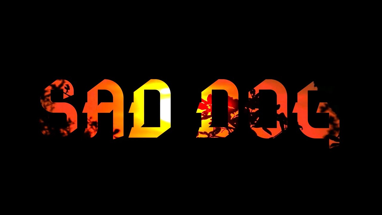 Lil Barbo - Sad Dog Official Video - YouTube