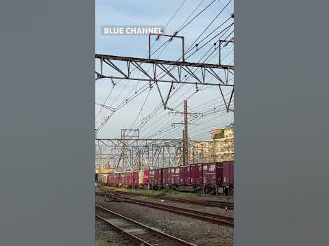 (貨物列車) 2023/07/19 3074レ EF210-117 + コキ20B (名古屋タ〜札幌タ) #Shorts - YouTube