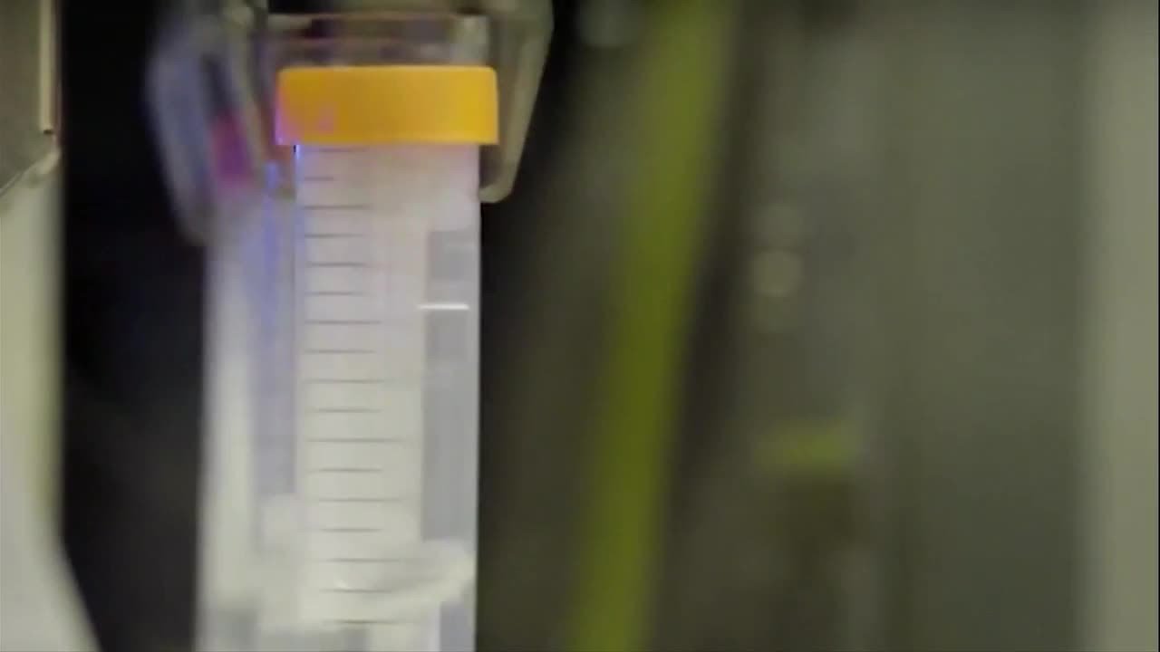 SIH receives first round of COVID-19 vaccines, vaccinations begin ...