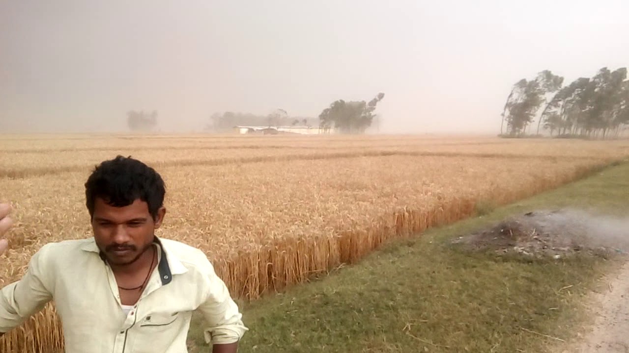 Harraiya Rock Storm in village - YouTube