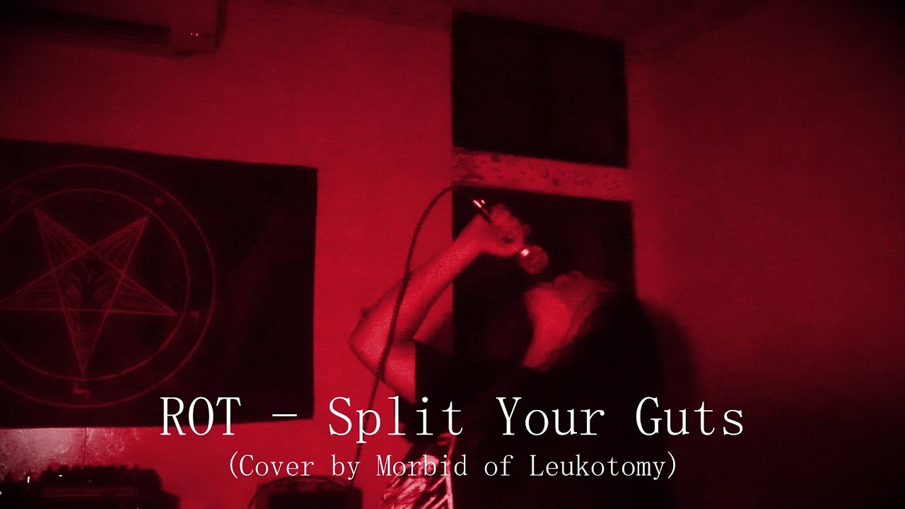 ROT - Split Your Guts (Cover) - YouTube
