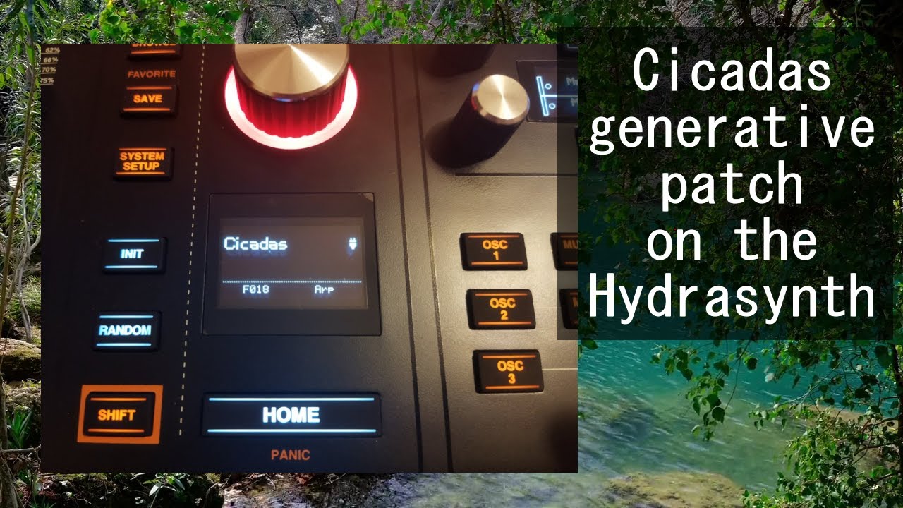 Cicadas - generative patch on the Hydrasynth - YouTube