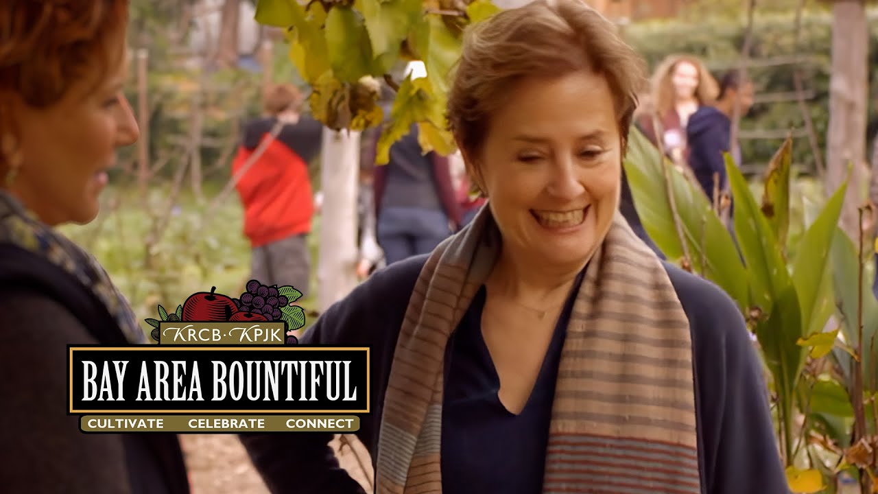 Bay Area Bountiful: Makers & Heroes, Part 3 - YouTube