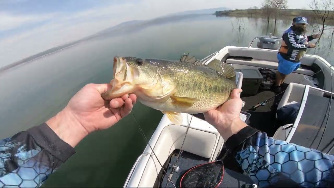 pre spawn fishing at Albert Falls Dam !!! #Finding the pattern ...