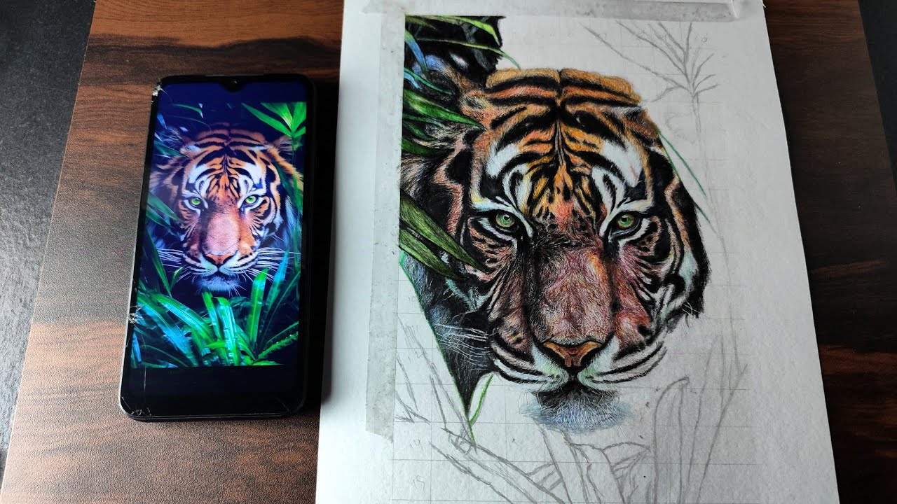 Background Tiger sketch // Color Pencil - YouTube