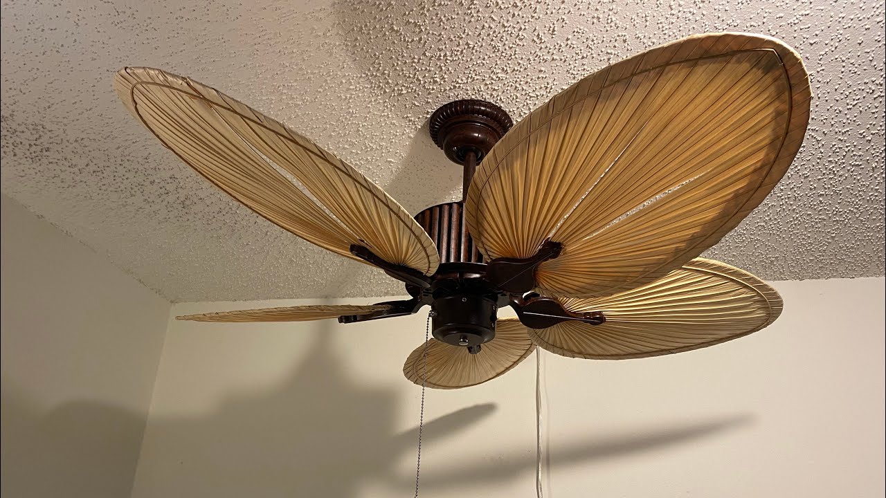 Fanimation Louvre Ceiling Fan - YouTube