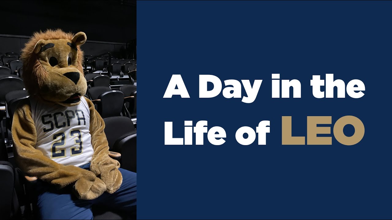 A Day in the Life of Leo - YouTube