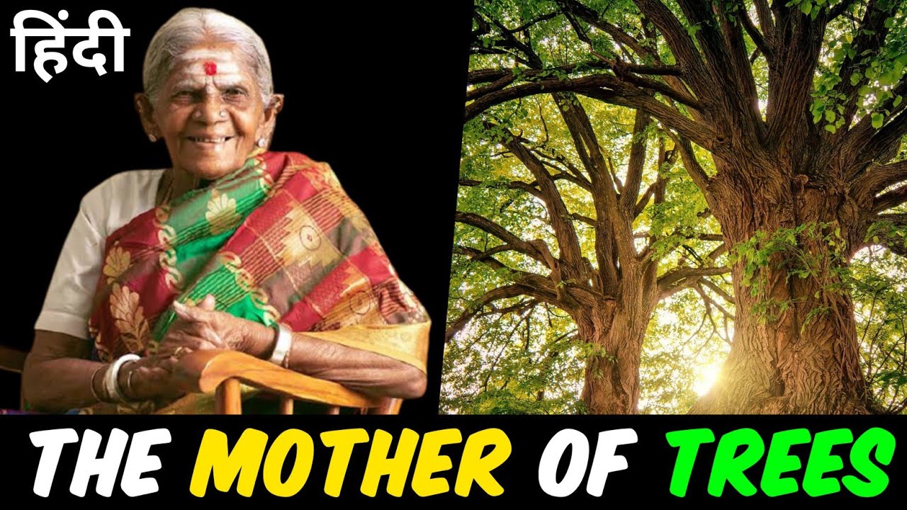 The Mother Of Trees | Saalumarada Thimmakka | Real Story - YouTube