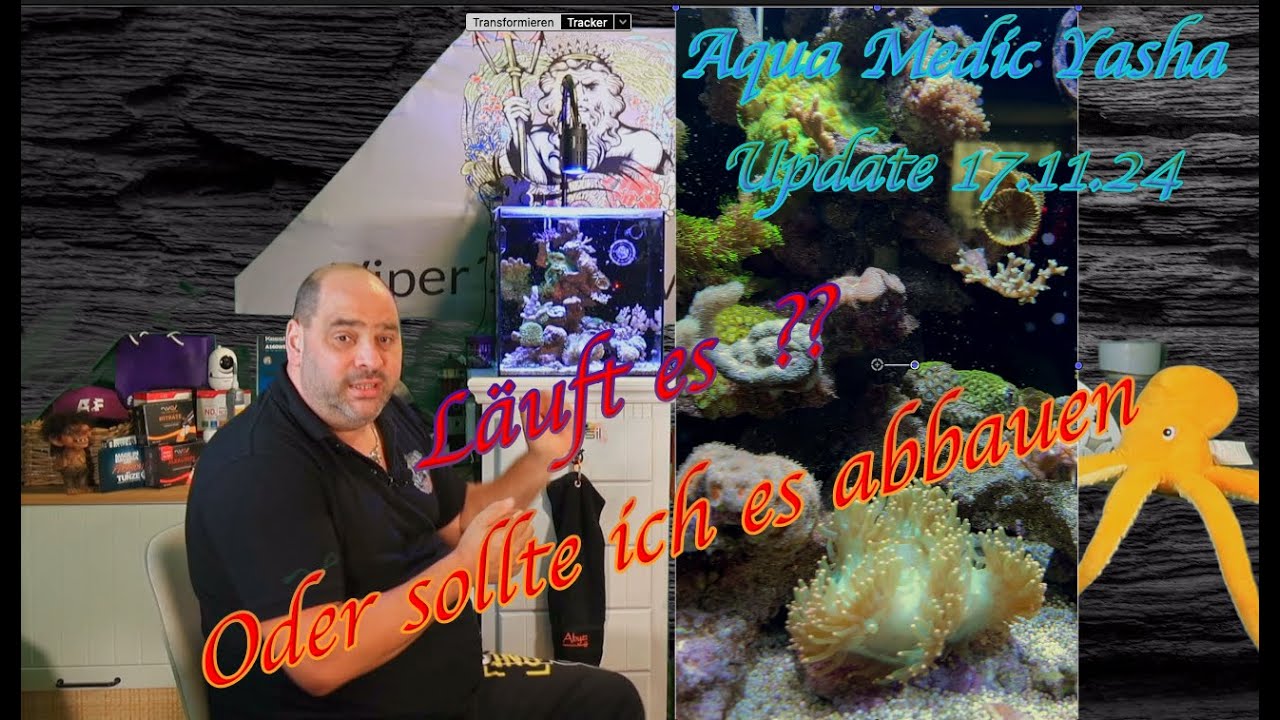 Update Yasha 60 17 11 24 Läuft es oder baue ich es ab - YouTube