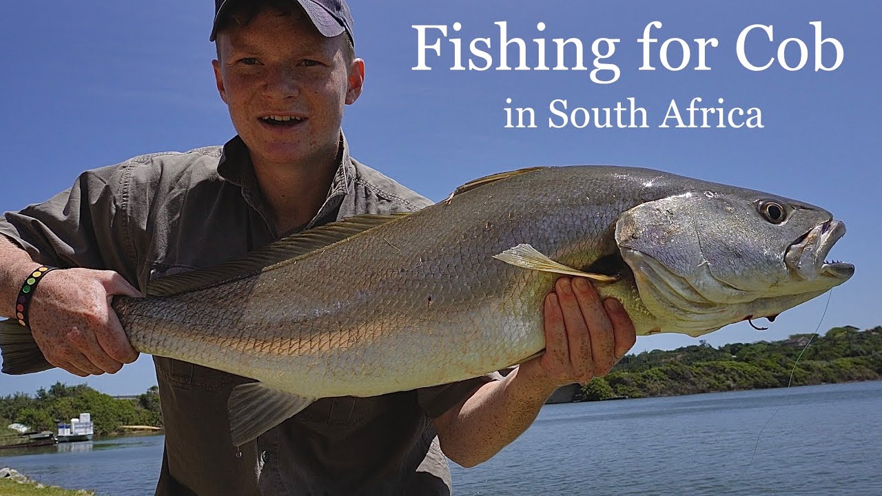 Fishing for Cob in South Africa - YouTube