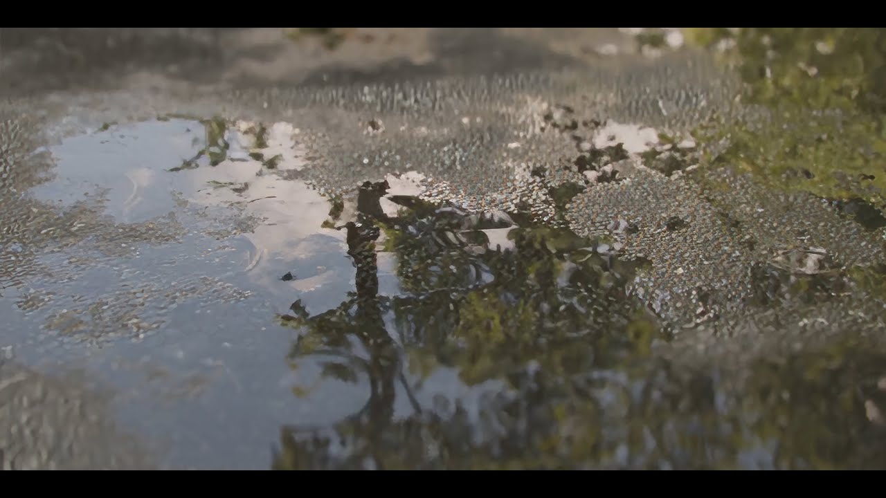 One-Click Physical Puddles Demonstration [blender 4+] - YouTube