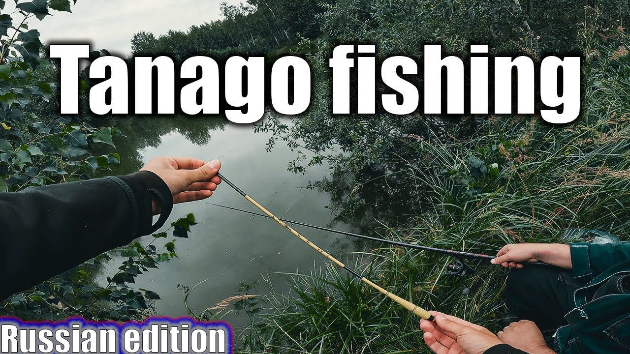 Tanago fishing russian edition | Рыбалка на Танаго в деревенском пруду ...