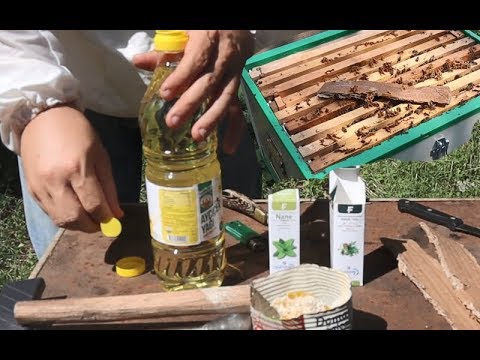 Doğal Varroa Dökme (Uygulama) Yöntemi (malzemeler-hazırlanışı ve sonuçlar)