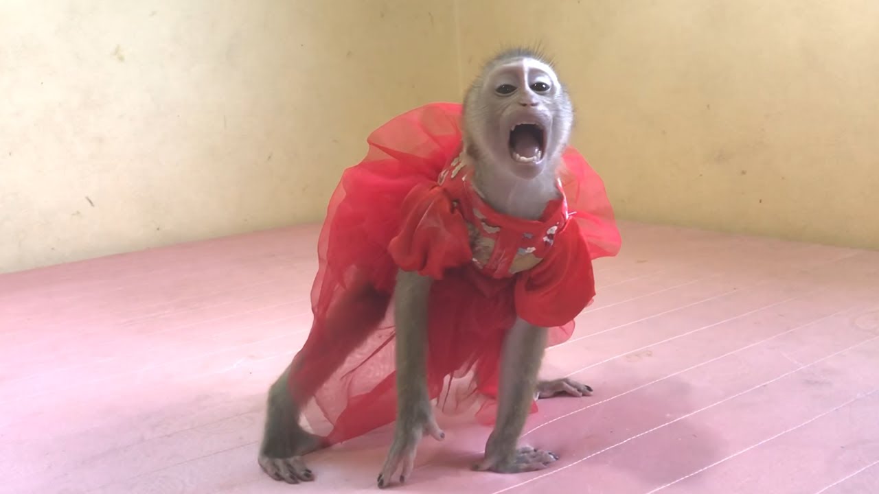 Jessa Show Cute Potential - YouTube