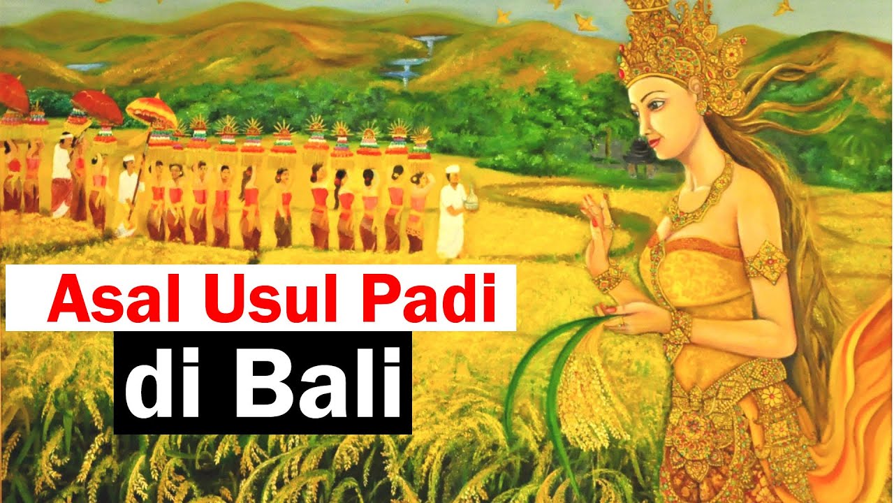 Asal Usul Padi di Bali, Legenda Bali - YouTube