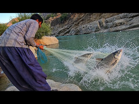 🌊🎣🐠 Giant fish in the net; The moment hope returned to the family!