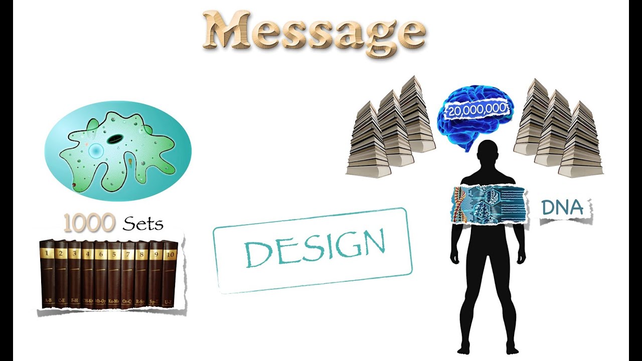 -20-Teleological Argument: Design of Life - YouTube