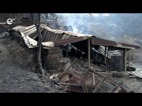 Огънят в Харманли унищожи ферма с 250 животни, 10 вили и производствени халета