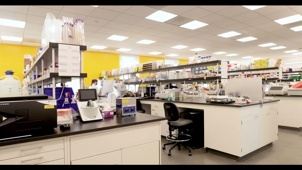 MBC BioLabs 930 Brittan Ave, San Carlos - YouTube