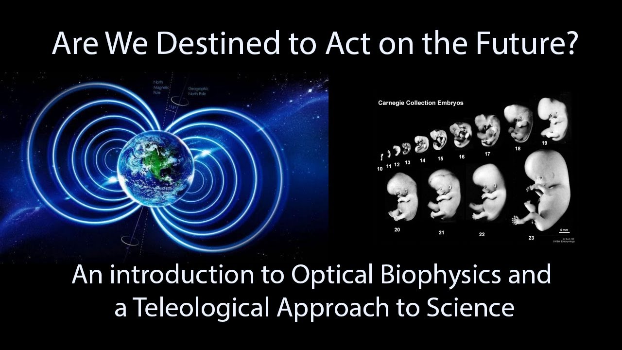 Are We Destined to Act on the Future? Optical Biophysics as a ...