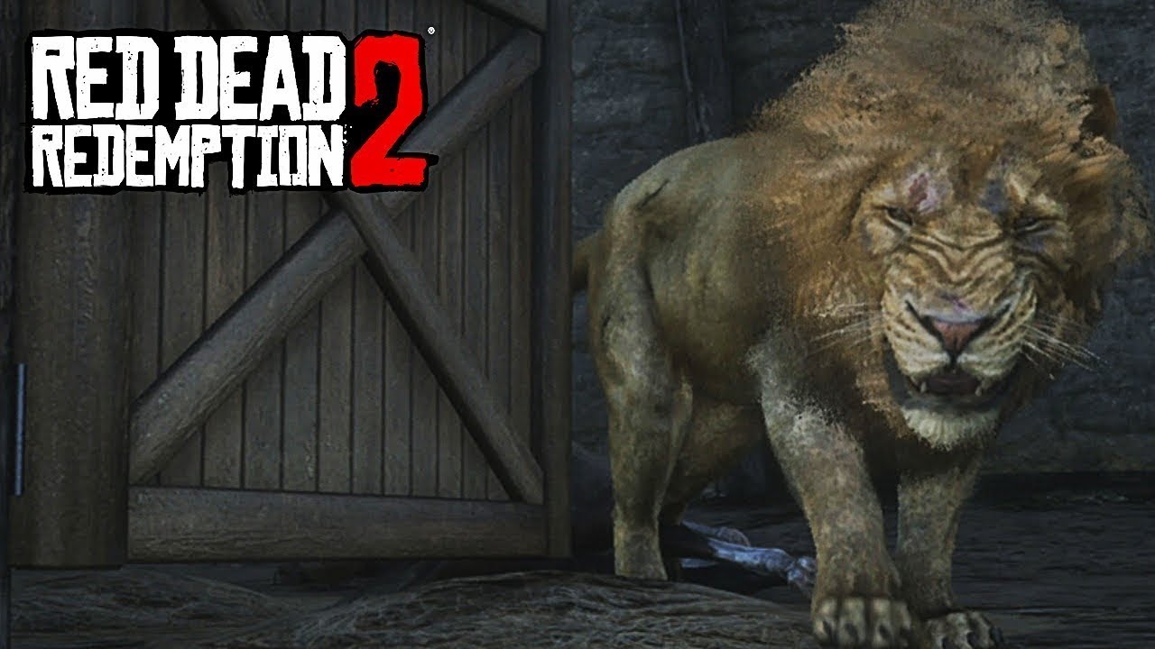Arthur VS Lion I RDR2 Side Mission - He's British, Of Course III - YouTube