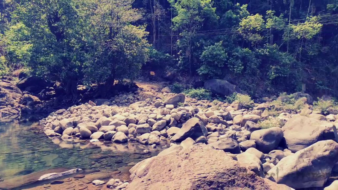 നാരങ്ങത്തോട് - Pathankayam Waterfalls - Beauty of Kozhikode - YouTube