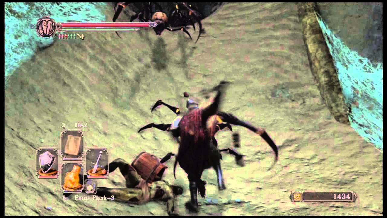 Dark Souls 2: Part 9 - Brightstone Cove Tseldora - YouTube