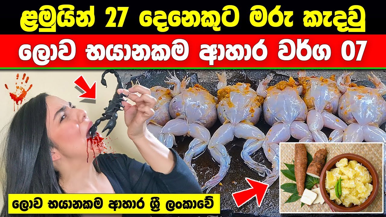 ළමුන් 27ක් මාර දැමු මඤ්ඤොක්කා ලොව භයානකම ආහාර /The world's most ...
