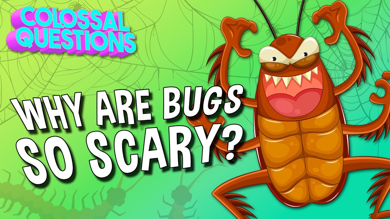Why Are Bugs So Scary? | COLOSSAL QUESTIONS - YouTube