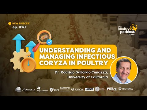 Dr. Rodrigo Gallardo Cunazza: Managing Infectious Coryza | Ep. 43