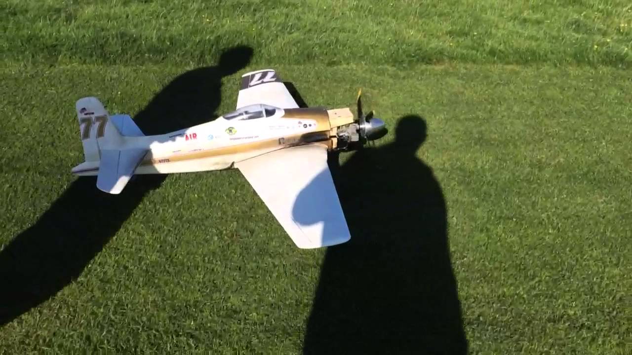 Rare Bear by Thunder tiger - YouTube