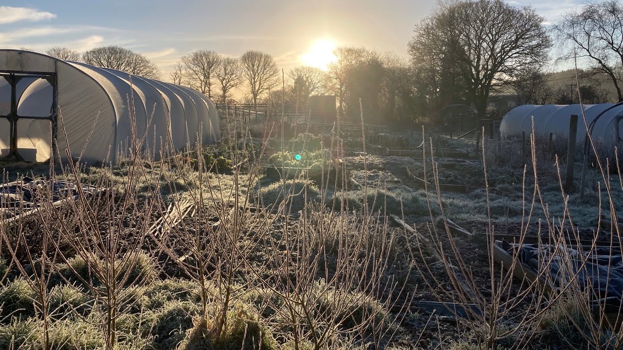 Microclimates and Why You Should Learn About Yours! - YouTube