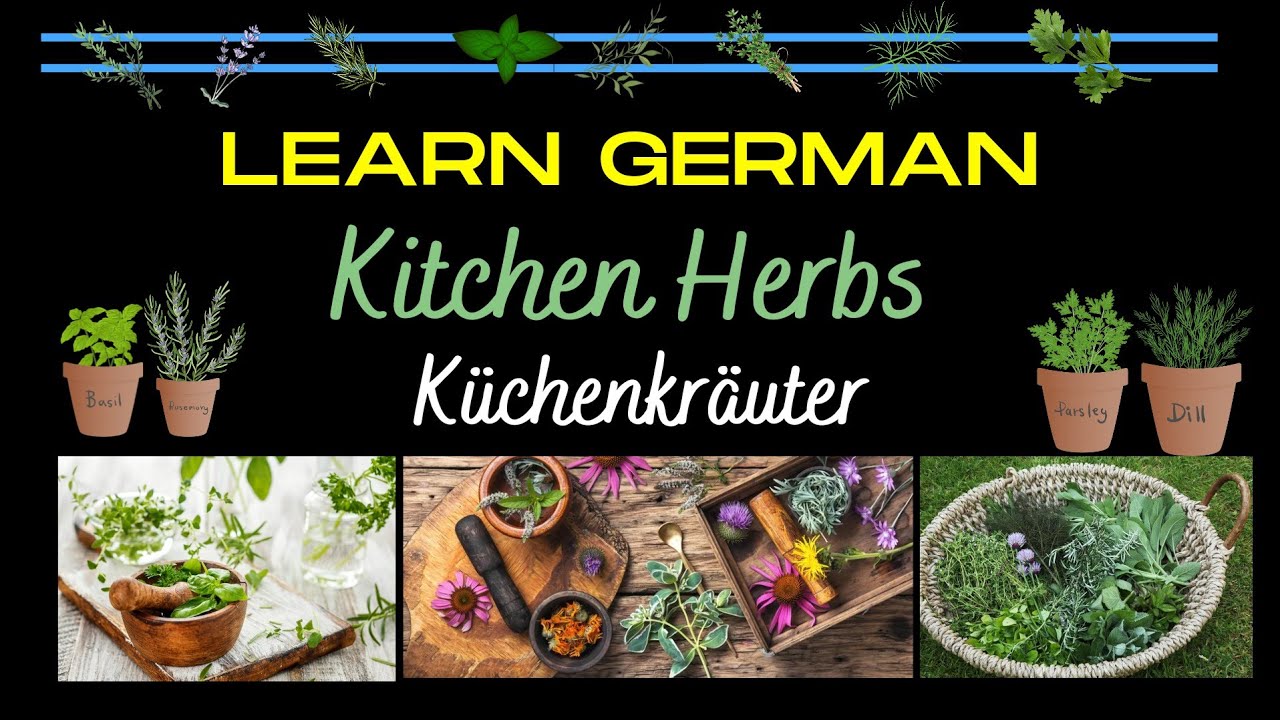 Learn German Common Kitchen Herbs / Culinary Herbs | Küchenkräuter ...