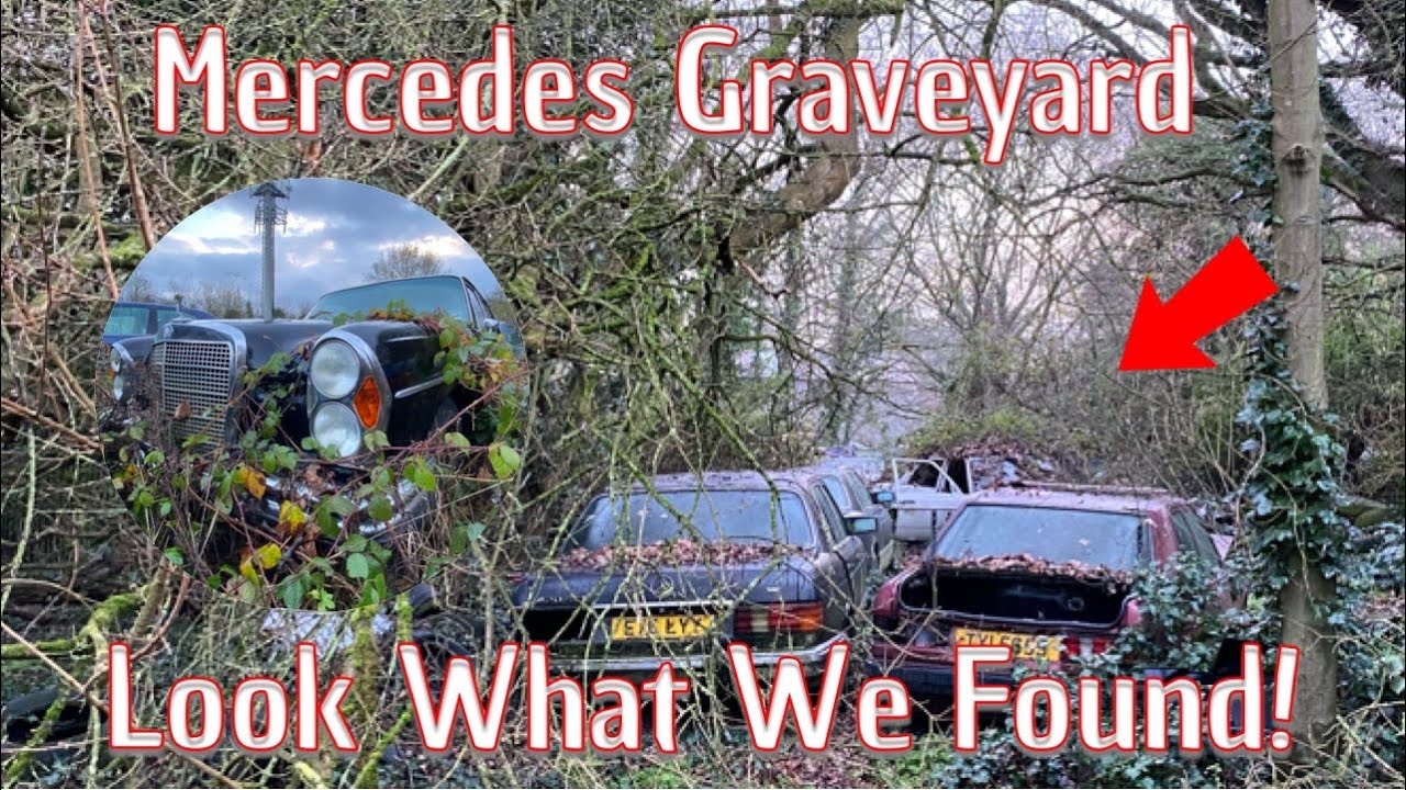 We Explore This Mercedes Benz Graveyard And Found Some Incredible Cars ...