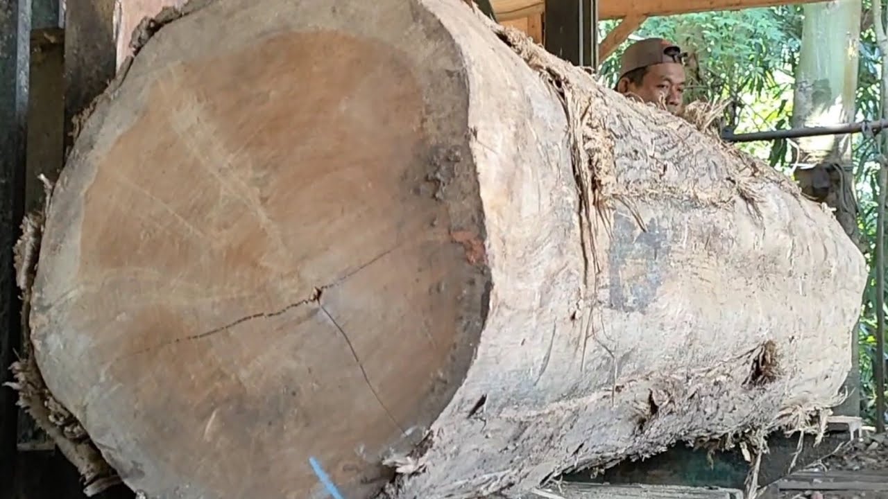 ISTIMEWA kayu jati rakyat Proses pengolahan dipenggrajian mesin rakitan ...