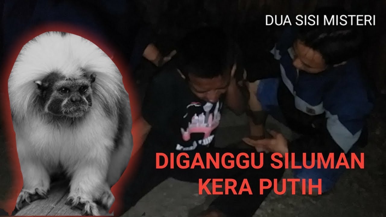DIGANGGU SILUMAN KERA PUTIH DAN KUNTILANAK - YouTube