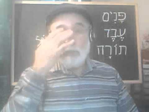 Daniel Capitulo 8: El carnero y el macho cabrio - YouTube