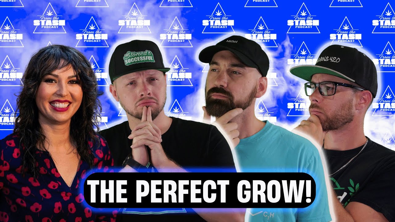 Is Your Grow Holding You Back? Start Doing THIS Instead... - From The Stash Podcast Ep.221 - YouTube